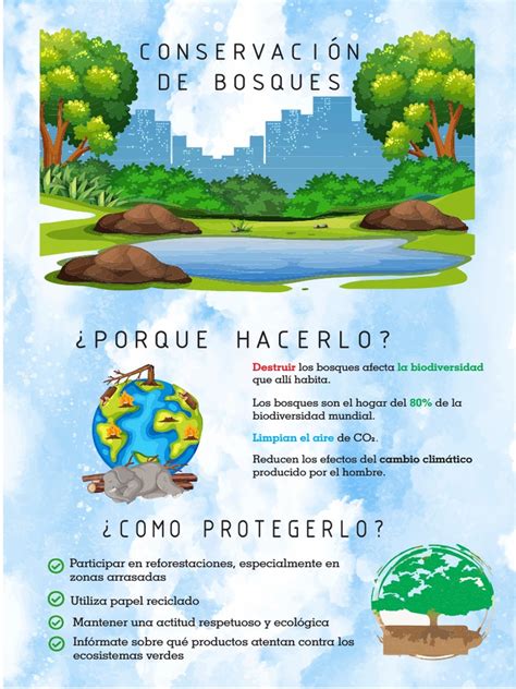 Infografia Conservacion De Bosques Pdf