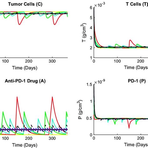 Densitiesconcentrations Of Tumour Cells Activated T Cells Free Pd 1