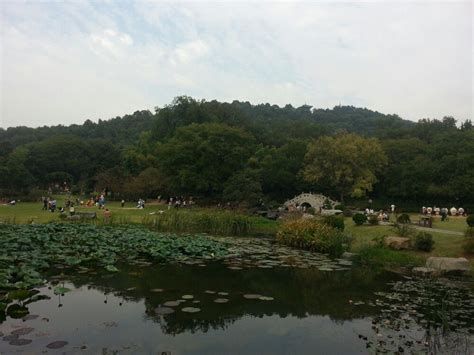 磨山景区导览景区导览图景区导览图图片大山谷图库