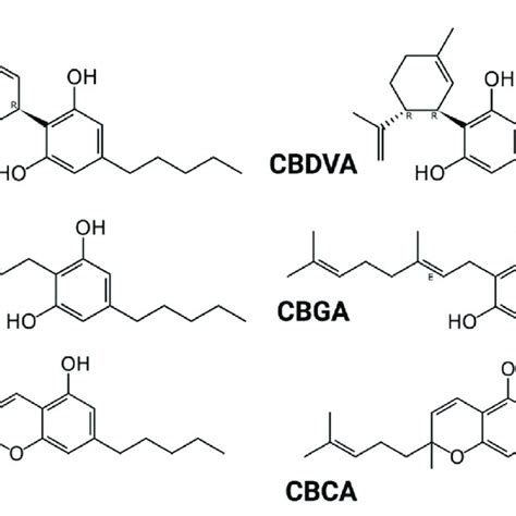 Structure Of Phytocannabinoids Created With Download