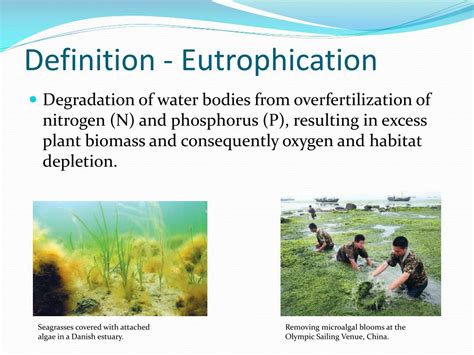 Eutrophication Definition