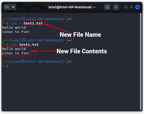 How To Use Cat Command In Linux With Examples Beebom