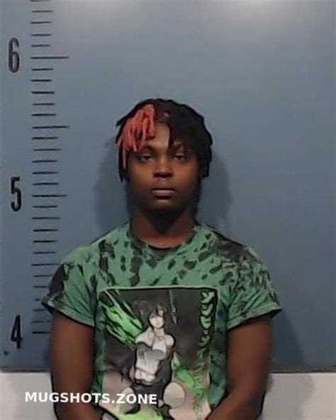 Ambus Marable Lamiyah Pearl 11302024 Taylor County Mugshots Zone