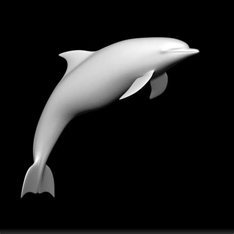 Stl File Dolphin 3d Print Model Realistic Dolphin Stl File Ocean
