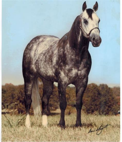 Handle Bar Doc Colt 45 Horse Ranch
