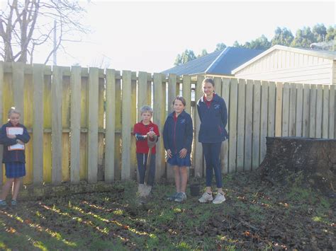 Gallery Dipton School