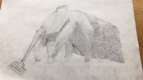 Transmogrify Final Pencil Assignment Ms Collins Blog