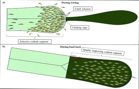 The Dual Sequential Codend Concept Showing The First Codend Segment