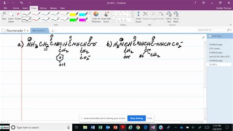 Solveddraw The Structures Of The Amino Acid Side Chains That