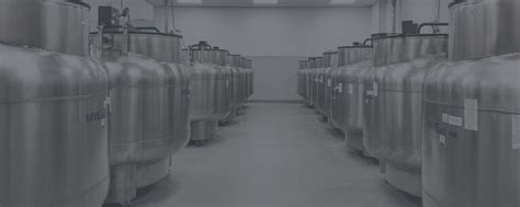 Optimizing Sample Accessioning Whitepaper Sampled