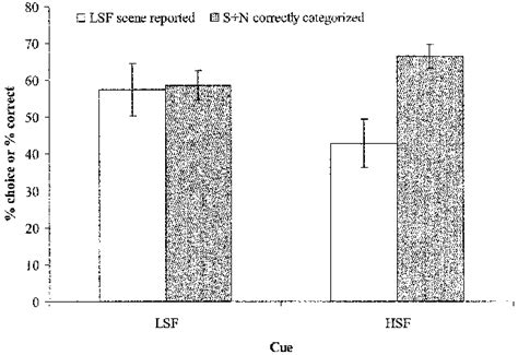 Summary Of Scene Categorization Performance In The Test Phase Of