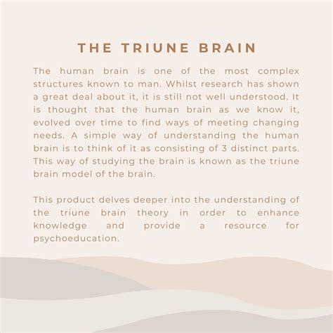 The Triune Brain Model Of Brain Development Neuroscience Psychoeducation Tool For Therapists