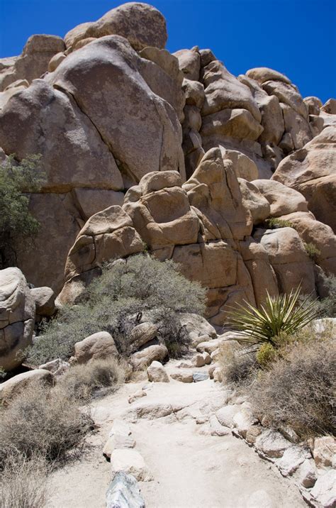 Hidden Valley Trail Joshua Tree