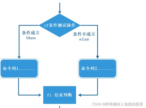 Shell脚本条件测试与控制结构 Csdn博客