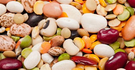 Most Healthiest Beans To Eat Healthy Food