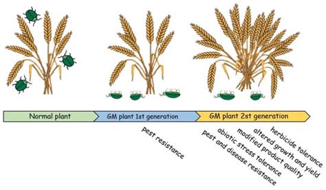 Consumer Social And Psychological Factors Influencing The Use Of