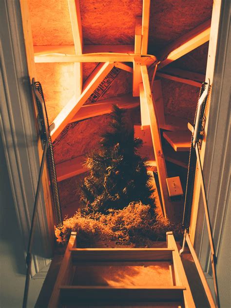 Bloom Environmental Blog — Bloom Environmental 812 327 1127 The