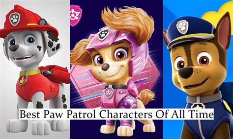 What Are The Names Of The Paw Patrol Pups The Tube