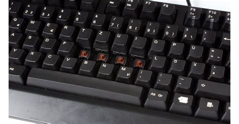 Zowie Celeritas Bilder