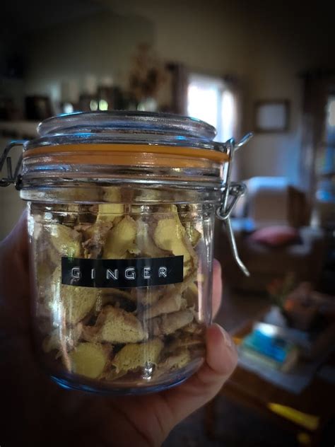 Drying Ginger Made Easy Never Buy Ginger Powder Again The Outdoor Apothecary