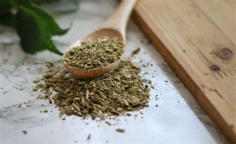 Yerba Mate For Weight Loss 5 Transformative Benefits