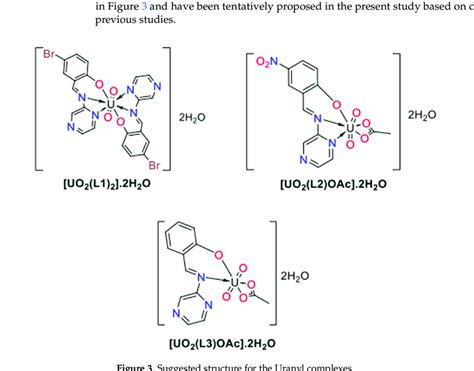 Suggested Structure For The Uranyl Complexes Download Scientific Diagram