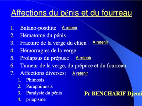Repro Male Affection Du P Et Du Fourreau Flashcards Quizlet