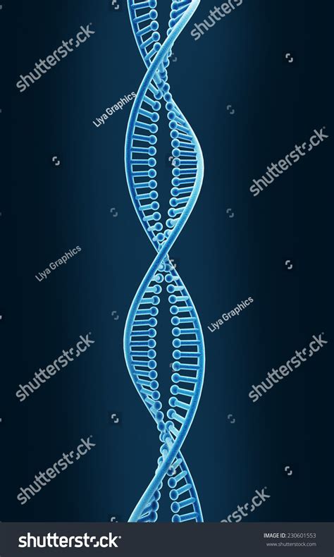 Human Dna Structure How Does Dna Matching Work Myheritage Knowledge