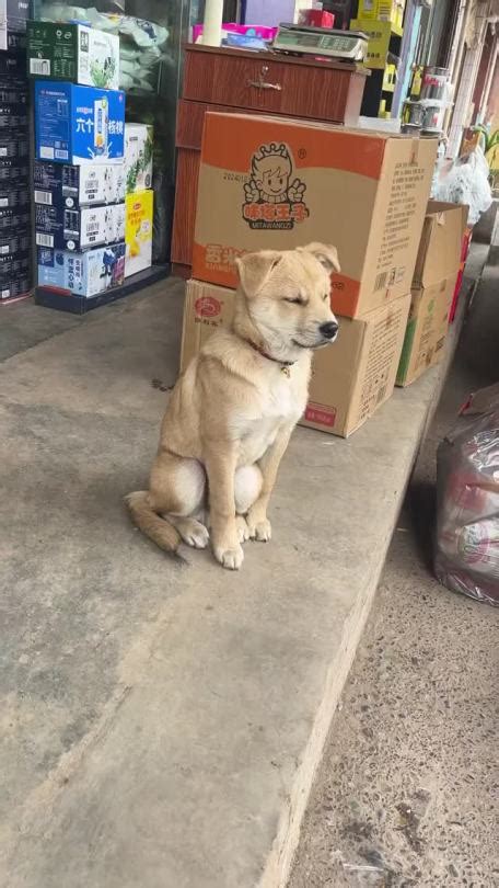 Tired After His Long Shift Tumbex