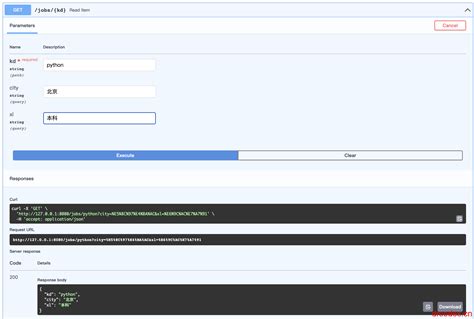 Fastapi笔记 爱写代码的小医生