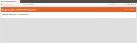 Burpsuite In Ethical Hacking Tutorial Practical Guide Acte Updated