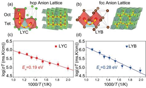 A The Li Ion Migration Pathways In Lyc B The Li Ion Migration