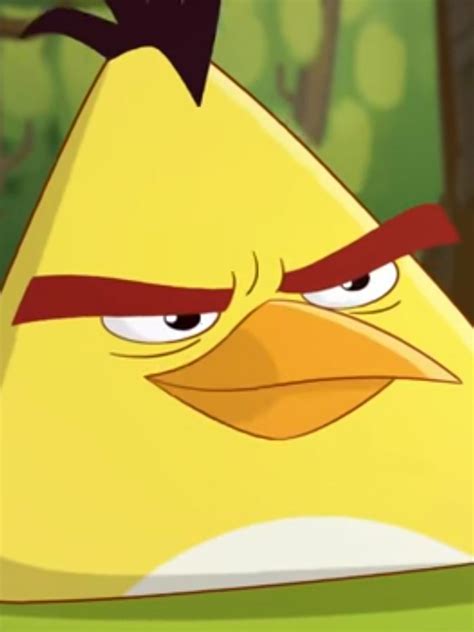 Angry Birds Toons Chuck