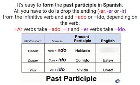 Participio Pasadopast Participle Diagram Quizlet