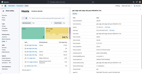Infrastructure Ui Show Metadata For A Single Host On The Host Ui · Issue 150893 · Elastic