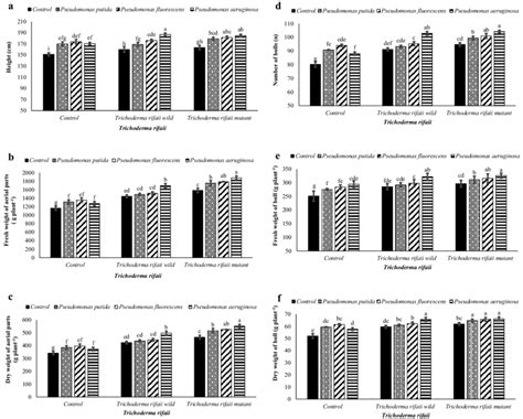 Mean Comparison Of The Interaction Effect Of Pseudomonas Spp ×