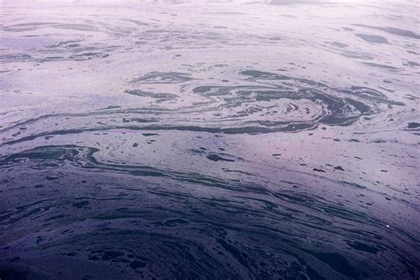 HIBERNATION On Behance