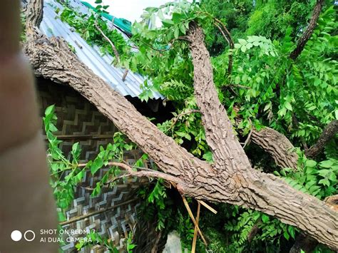 မလှိုင်မြို့နယ် ပျူကန်ကျေးရွာတွင် မိုးသည်းထန်စွာ ရွာသွန်းမှုကြောင့