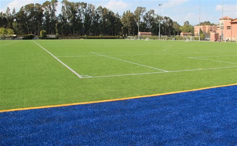 Ucla Biobased Astroturf Intramural Field Astroturf