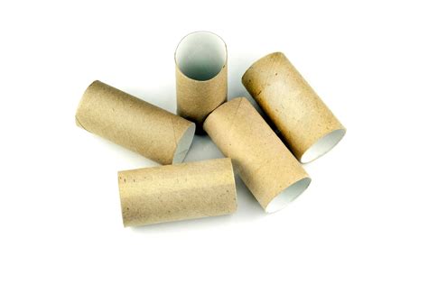 Rouleaux De Papier Toilette Vides Déchets De Papier Pour Recyclage