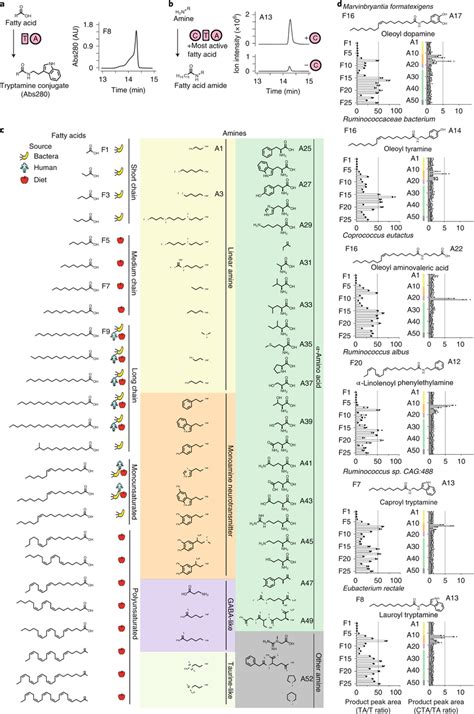Enzyme Activity Against Fatty Acids And Amines Present In The Human