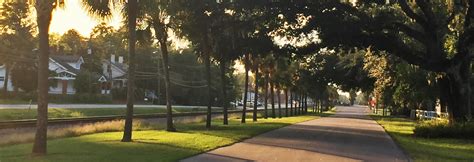 Town Of Varnville South Carolina