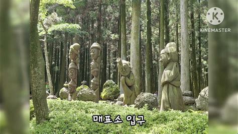 제주도 차박여행10절물오름ㆍ제주항여객터미널ㆍ고흥대전해수욕장 Youtube