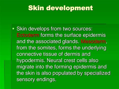 Solution Development Of Endocrine System Studypool