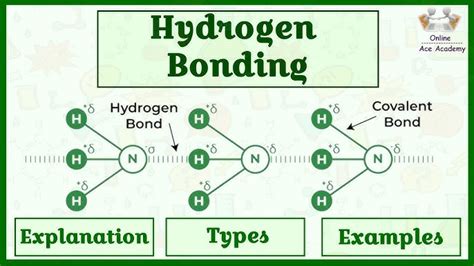 Hydrogen Bond Definition Types And Examples