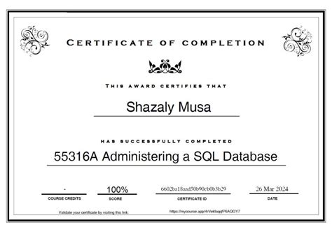 Earned Sql Database Certificate Shazaly M Posted On The Topic Linkedin