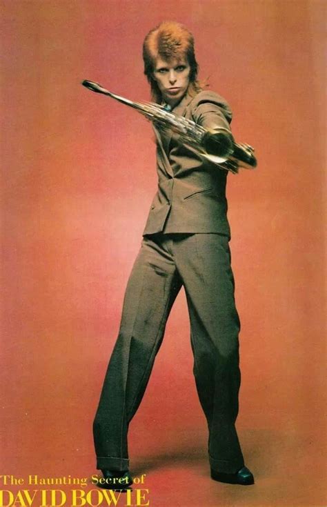David Bowie Pin Ups
