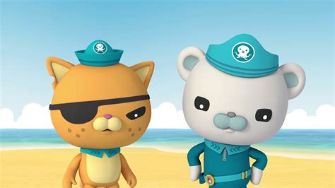 Captain Barnacles Artofit