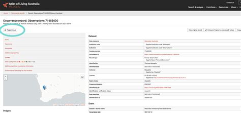 Flagging An Issue With A Record Ala Support