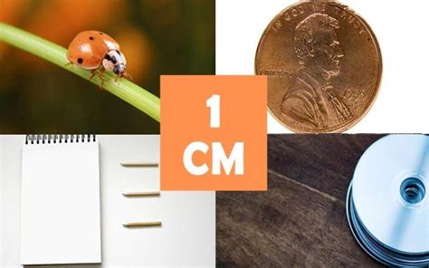 11 Everyday Things That Are 1 Centimeter Cm Long